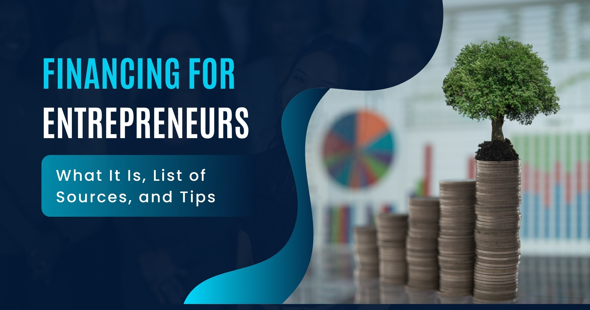 Financing for Entrepreneurs | What It Is, List of Sources, and Tips